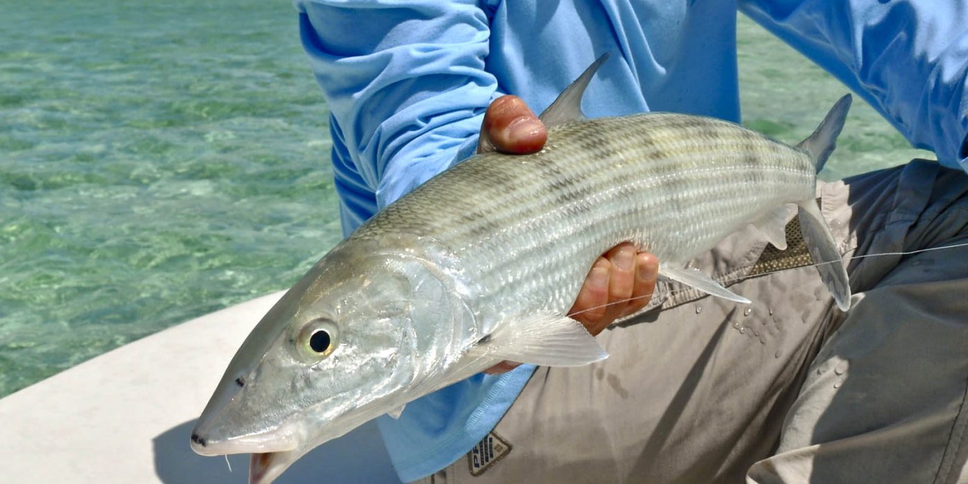 Bonefish - Captain Zach Stells
